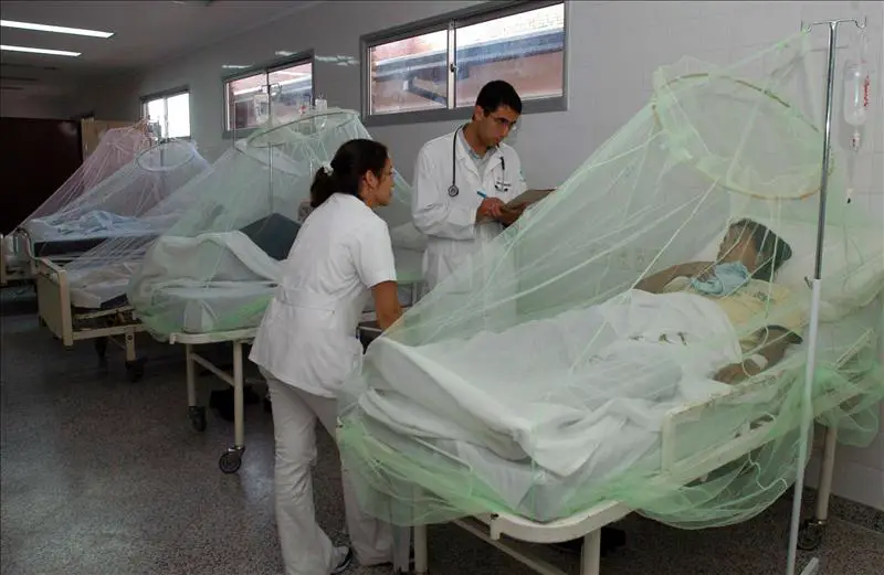 Dengue Alert