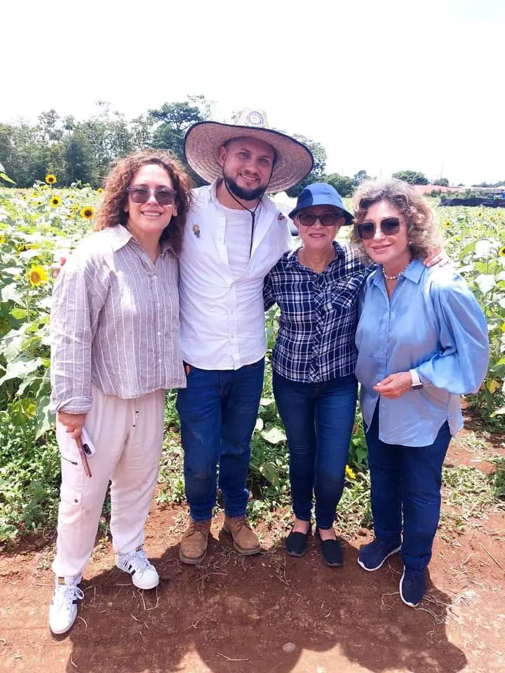 Like A Dream This Is The Immense Sunflower Field In Costa Rica ⋆ The